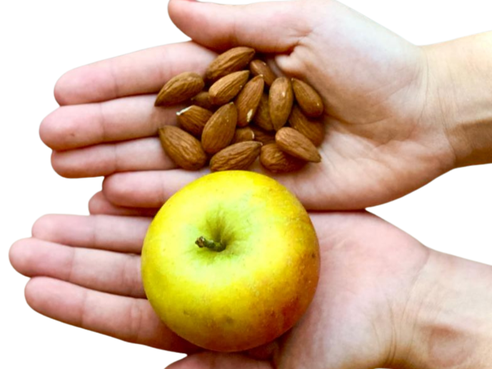 9 Energizing Road Trip Snacks | Saskatchewan Blue Cross