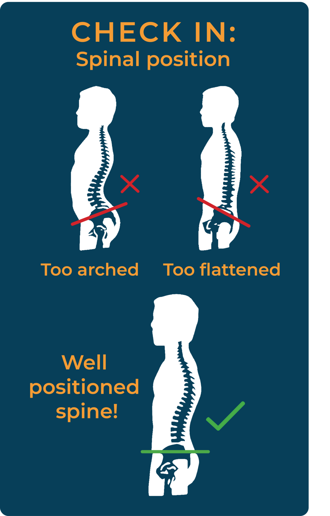 Preventing back pain through exercise - Saskatchewan Blue Cross